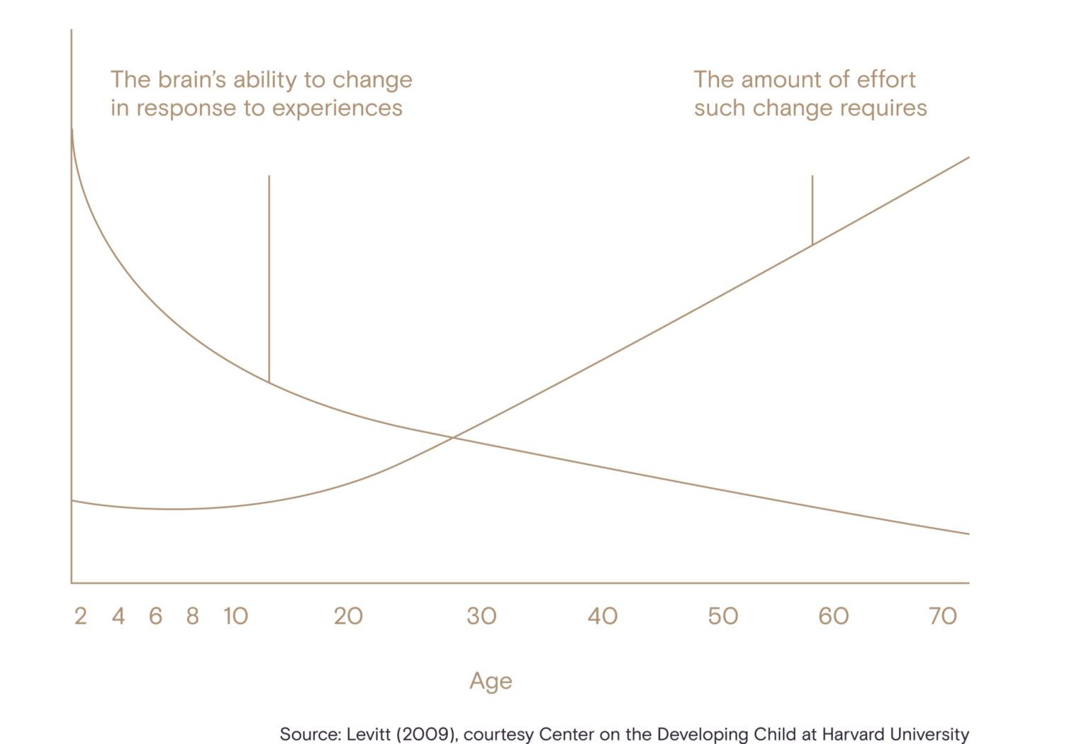 Early childhood and the developing brain - CFEC